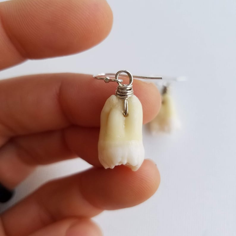 Real Human Teeth Earrings With Sterling Sterling Silver or Gold Filled ...