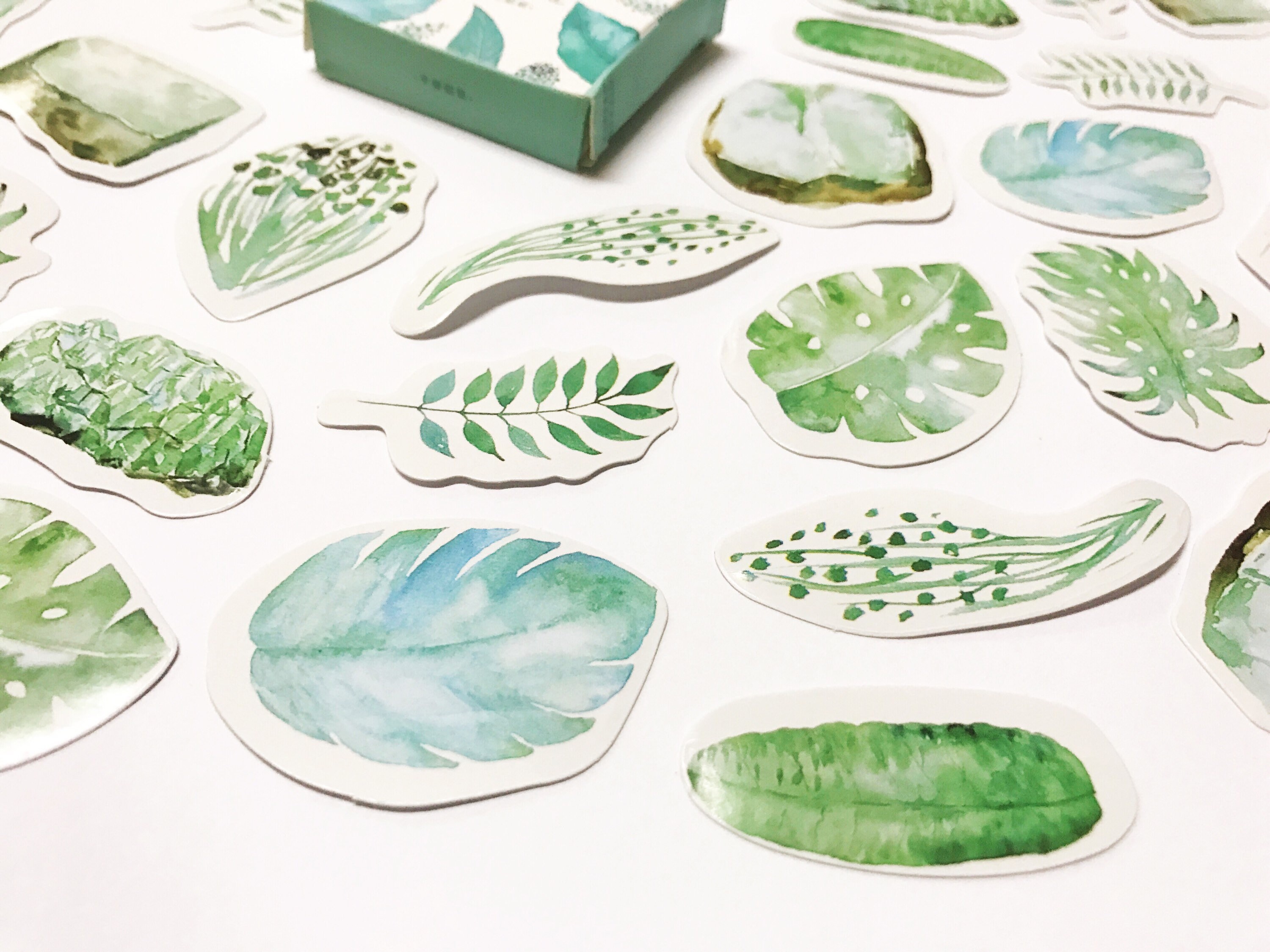 Leaves Stickers Leaf Stickers Kawaii Stickers Nature | Etsy UK