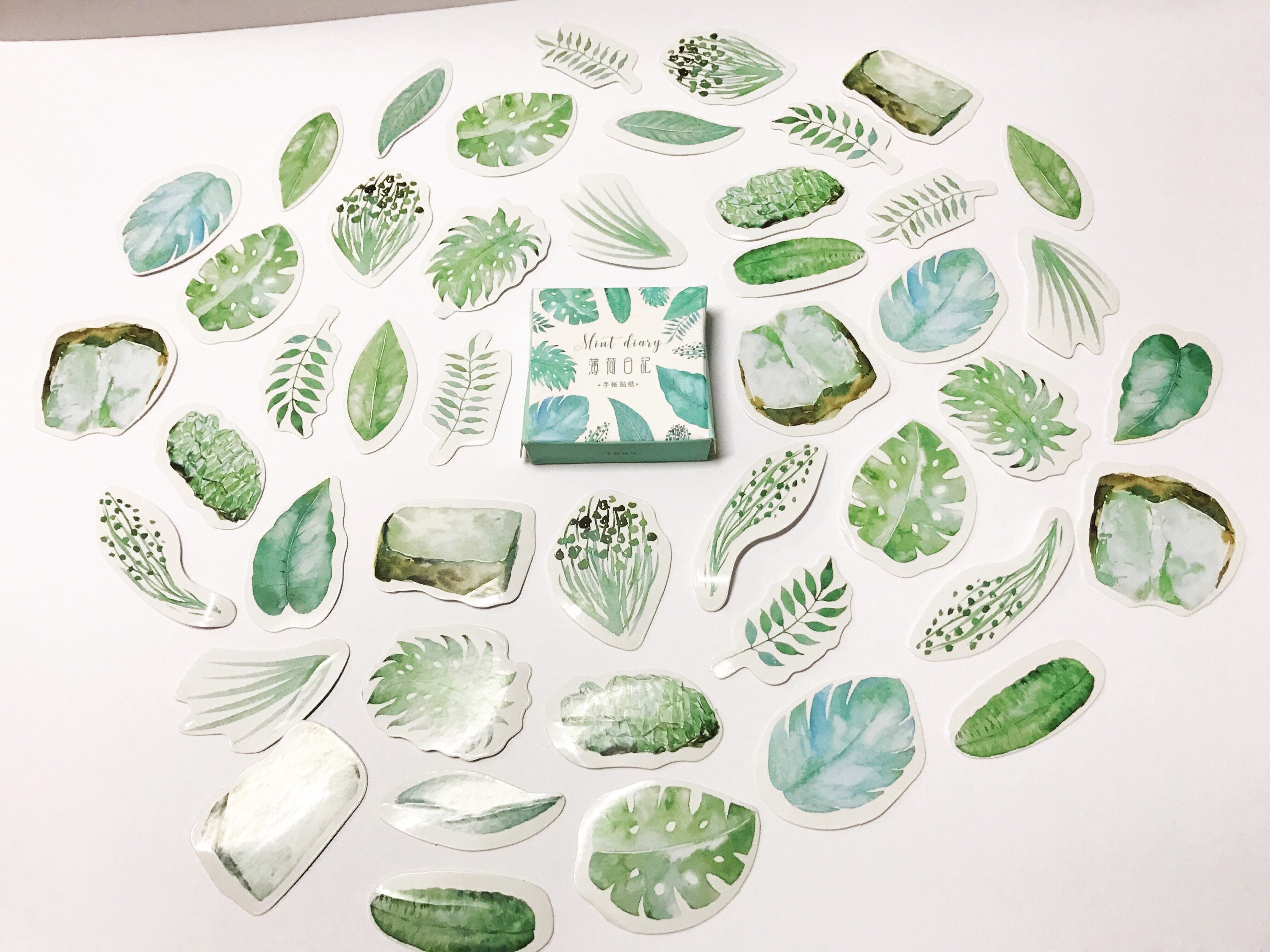 Leaves Stickers Leaf Stickers Kawaii Stickers Nature | Etsy UK