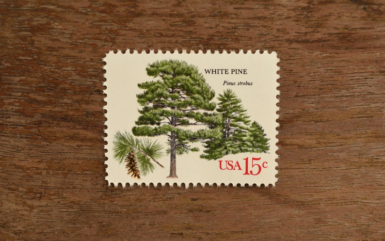 10 American Trees White Pine Postage Stamp // 15 Cents // - Etsy