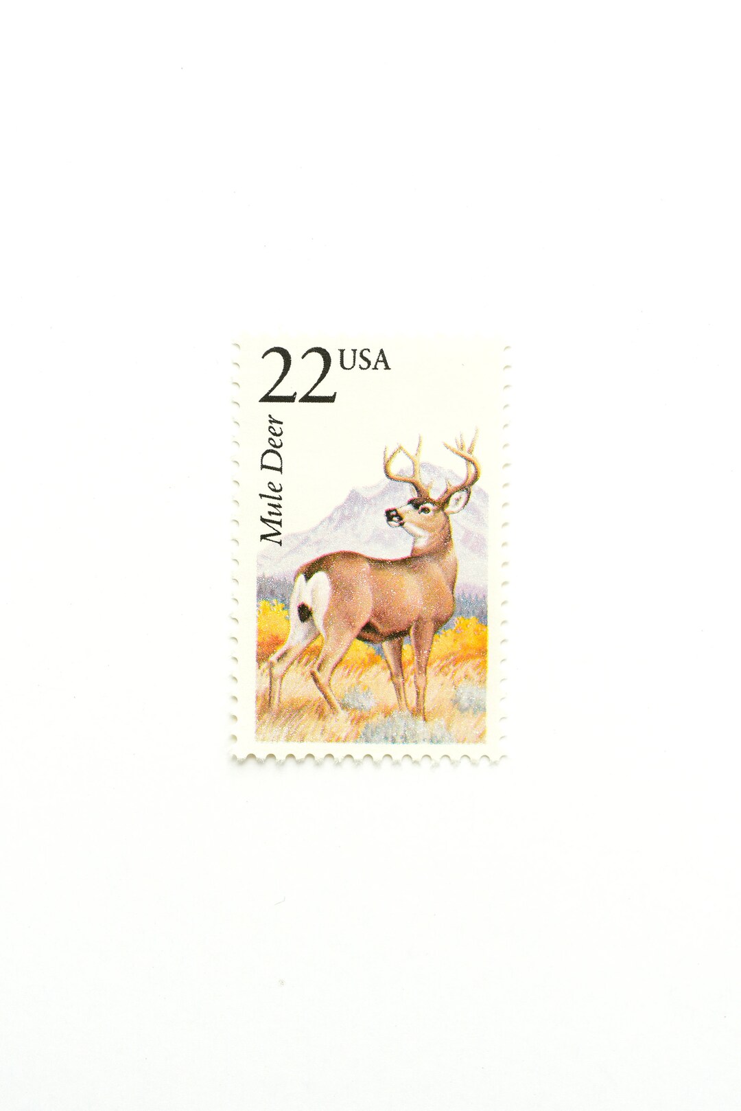 5 Mule Deer Postage Stamps // UNUSED // 22 Cent Stamp // North American ...