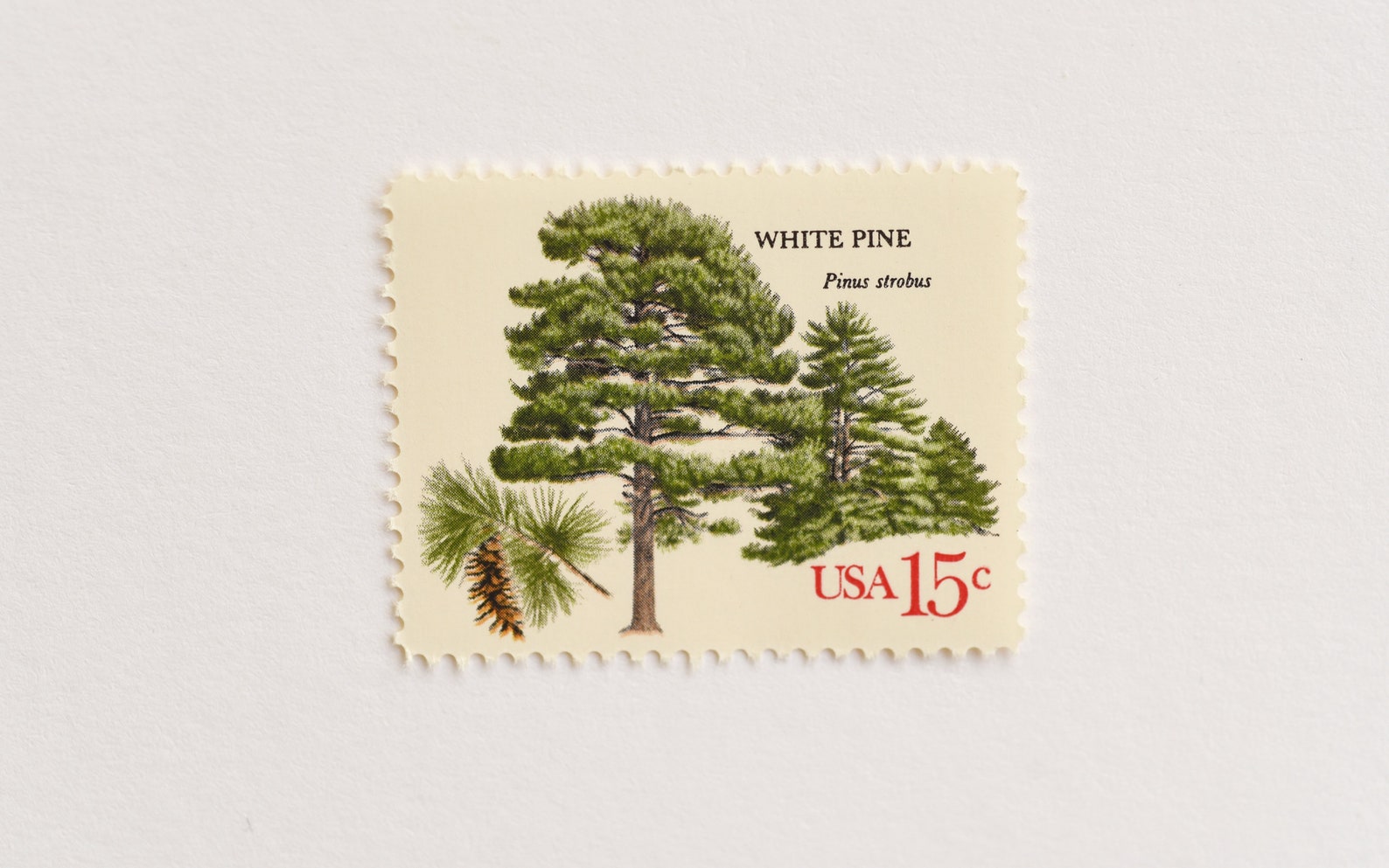 10 American Trees White Pine Postage Stamp // 15 Cents // - Etsy