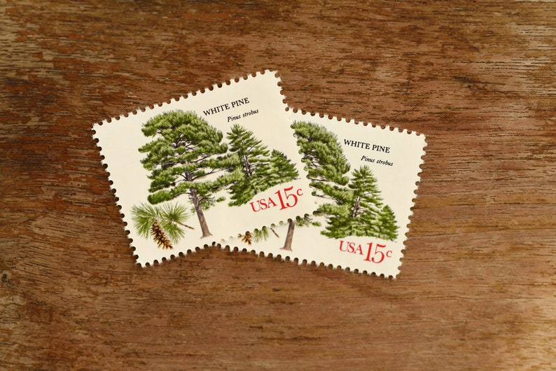 10 American Trees White Pine Postage Stamp // 15 Cents // - Etsy