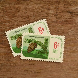 10 Botanical Congress Douglas Fir Postage Stamps // 6 Cent - Etsy