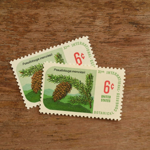 Mountain Stamp - Etsy