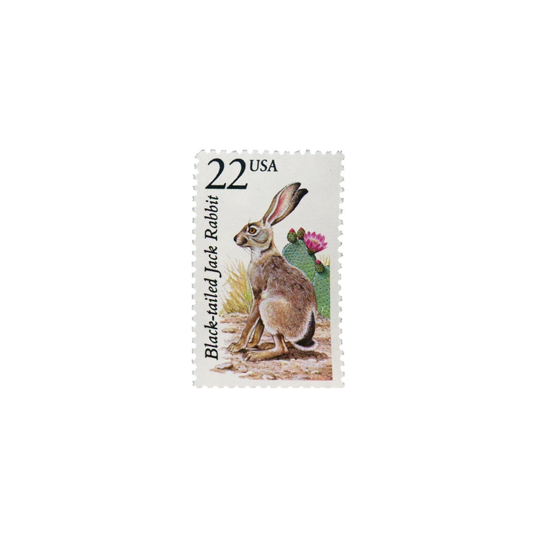 5 Black Tailed Jack Rabbit Postage Stamps // UNUSED // 22 Cent Stamp ...