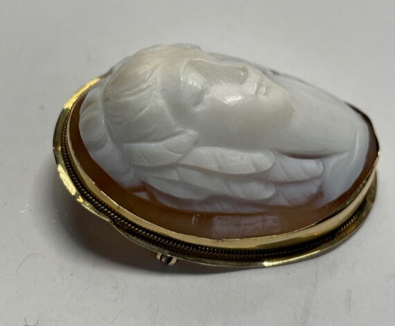 14k High Relief Conch Shell Cameo - Gem