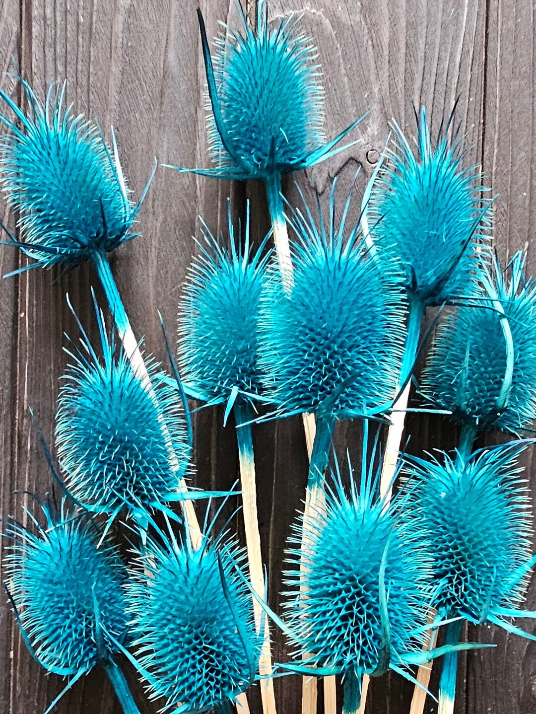 Blue Dried Thistles, 15 Stems, Rustic Floral Decor - Etsy