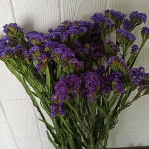 Purple Statice Bunch\ Purple Dried Statice\ Wedding Flowers Bouquet ...