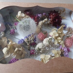Small Dried Flowers,mix Dry Flowers,flowers for Resin,floral Decor ...