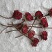 20 Dried Burgundy Roses.tiny Resin Flowers.small Dried Flowers. Resin ...
