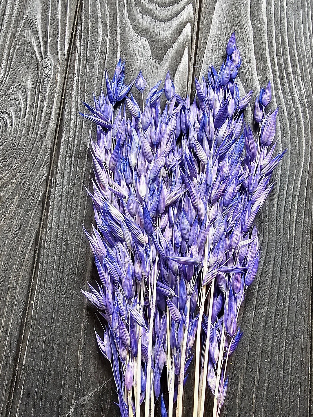 15 Stems Dried Oat, Purple Dried Oat, Purple Dried Flower, Lilac Dried ...