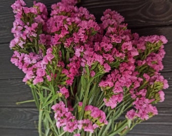Pink Statice Flowers - Etsy