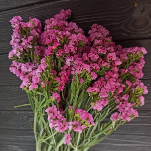 Statice Flowers - Etsy