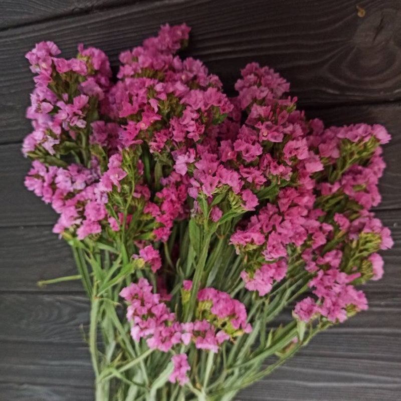 Statice Flowers - Etsy