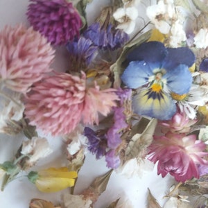 Small Dried Flower Mix, Natural Potpourri for Resin Crafts - Etsy