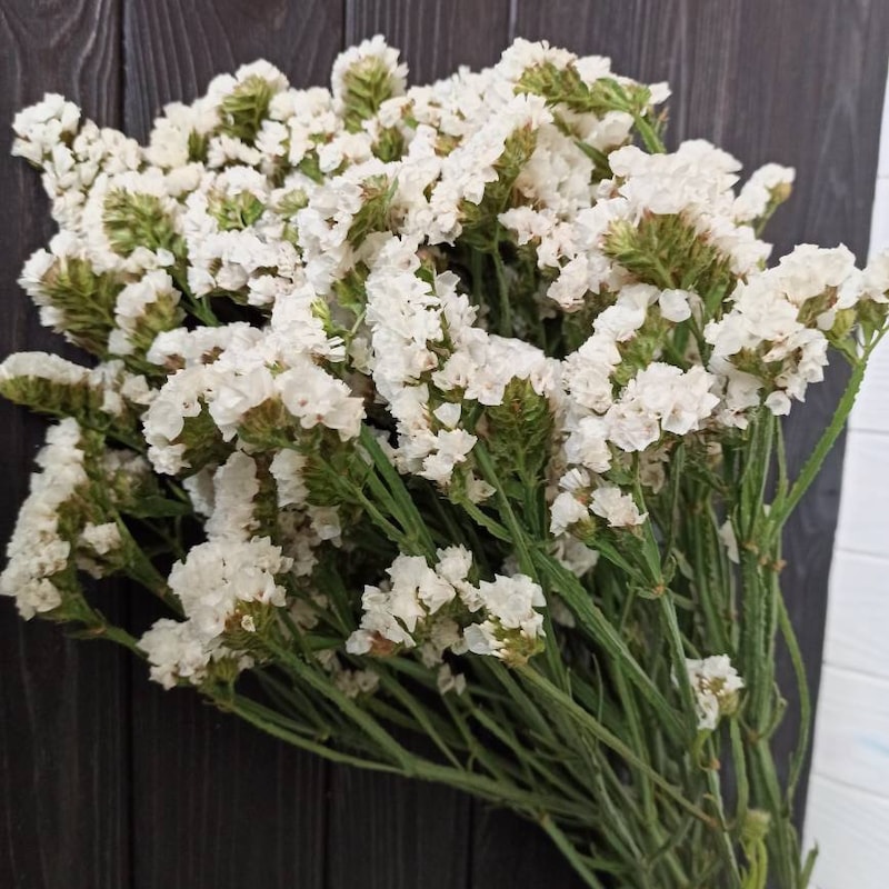 Statice Flowers - Etsy