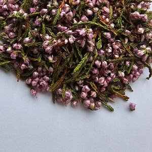 25\50\100g Heather Flowers, Dried Forest Heather, Dried Flowers ...