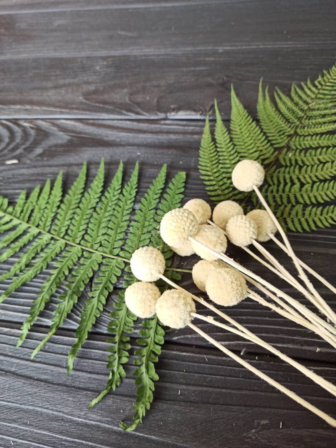 15 White Ball Billy Buttons Dried Flower Floral Arrangement - Etsy