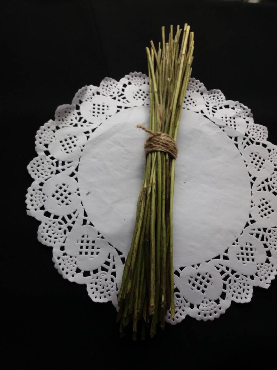 Yarrow Stalks, I Ching, Dried Yarrow, Yarrow Sticks,achillee Divination ...