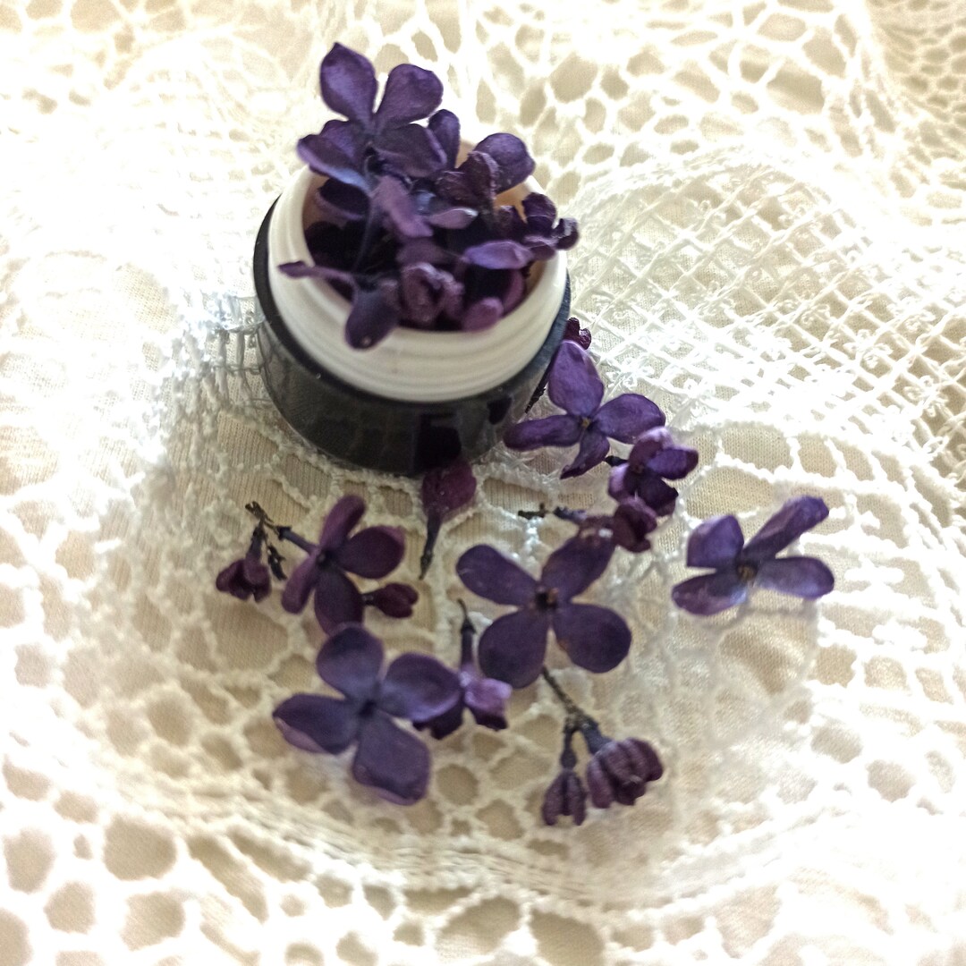 Dried Lilac,lilac Flowers,mini White Flowers,small Flowers,lilac Dry ...