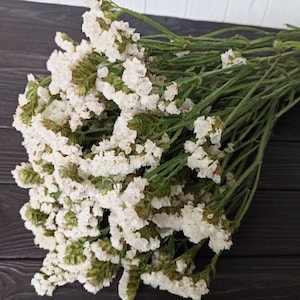White Statice Bunch\ White Dried Statice\ Wedding Flowers Bouquet\white ...
