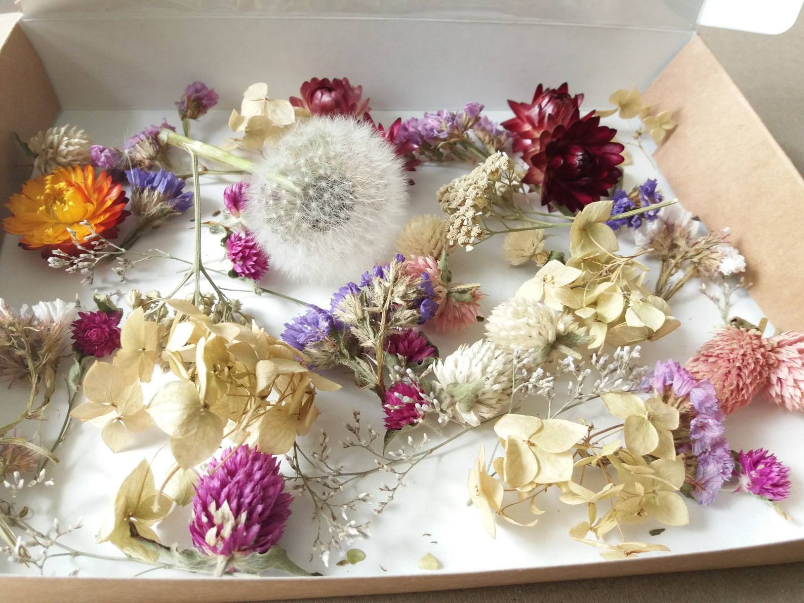 Small Dried Flowers,mix Dry Flowers,flowers for Resin,floral Decor ...