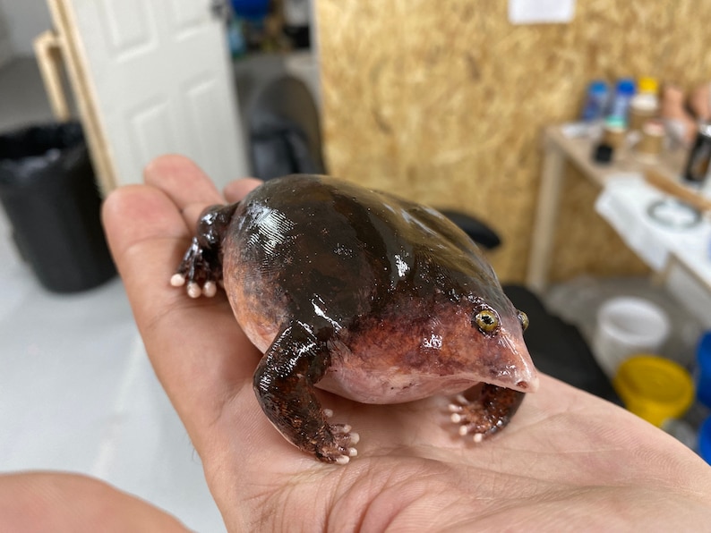 Purple Frog / Pignose Frog Figurine... | Etsy