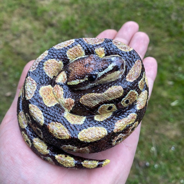 Ball Python Plush - Etsy