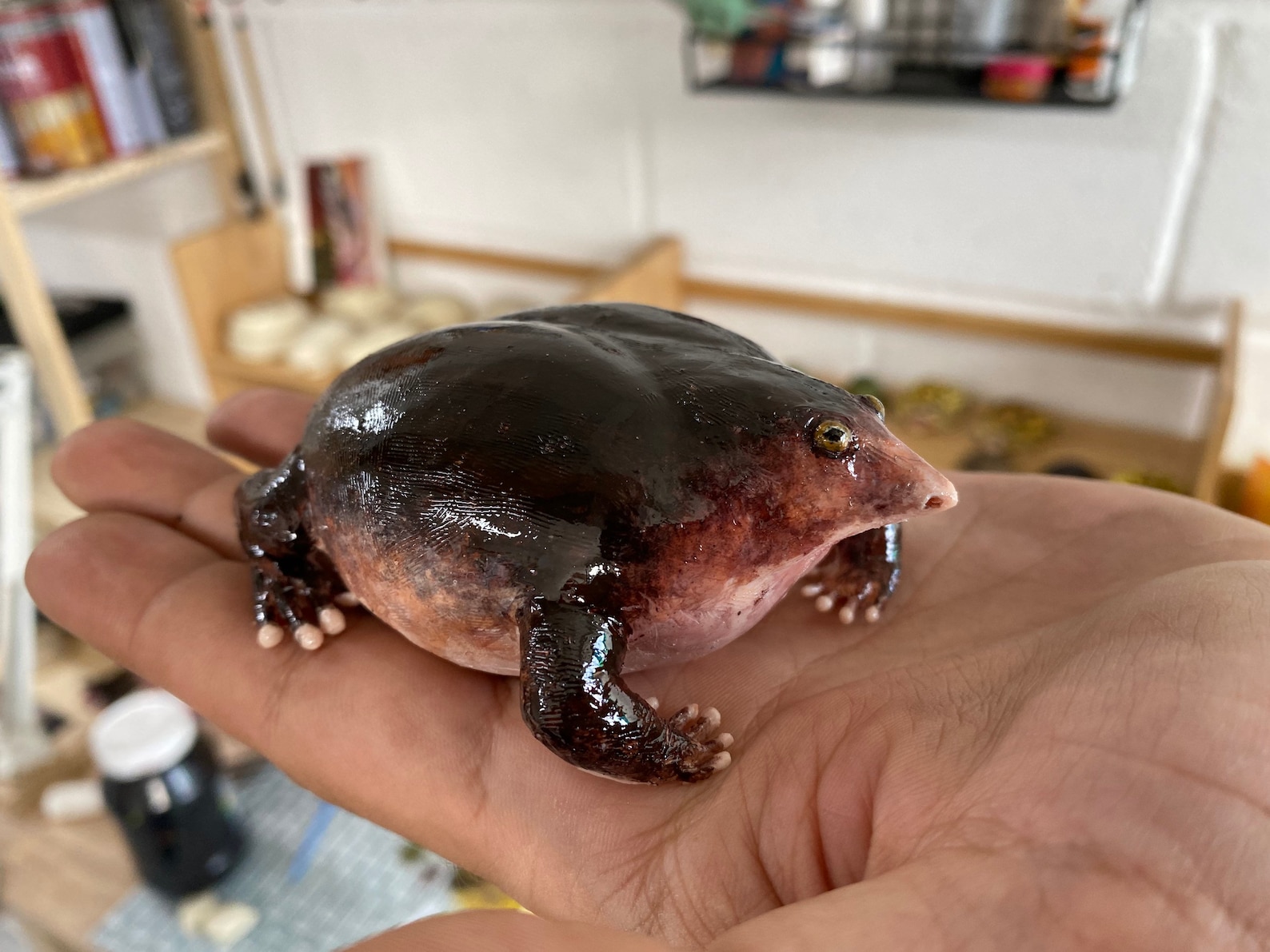 Purple Frog / Pignose Frog Figurine... - Etsy