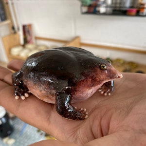 Purple Frog / Pignose Frog Figurine... - Etsy