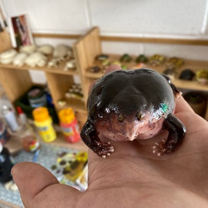 Purple Frog / Pignose Frog Figurine... - Etsy