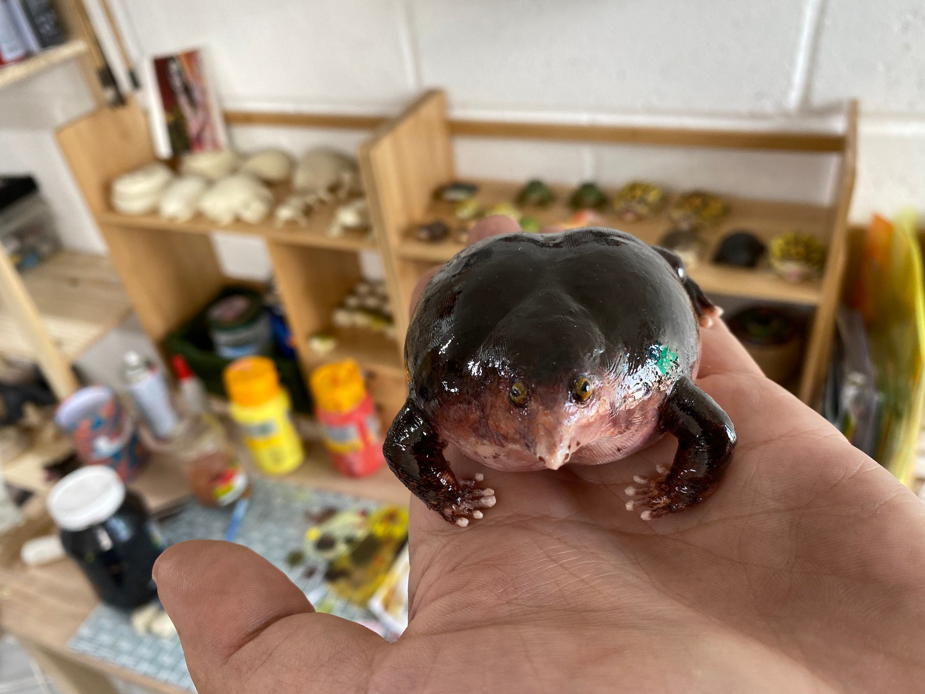 Purple Frog / Pignose Frog Figurine... | Etsy