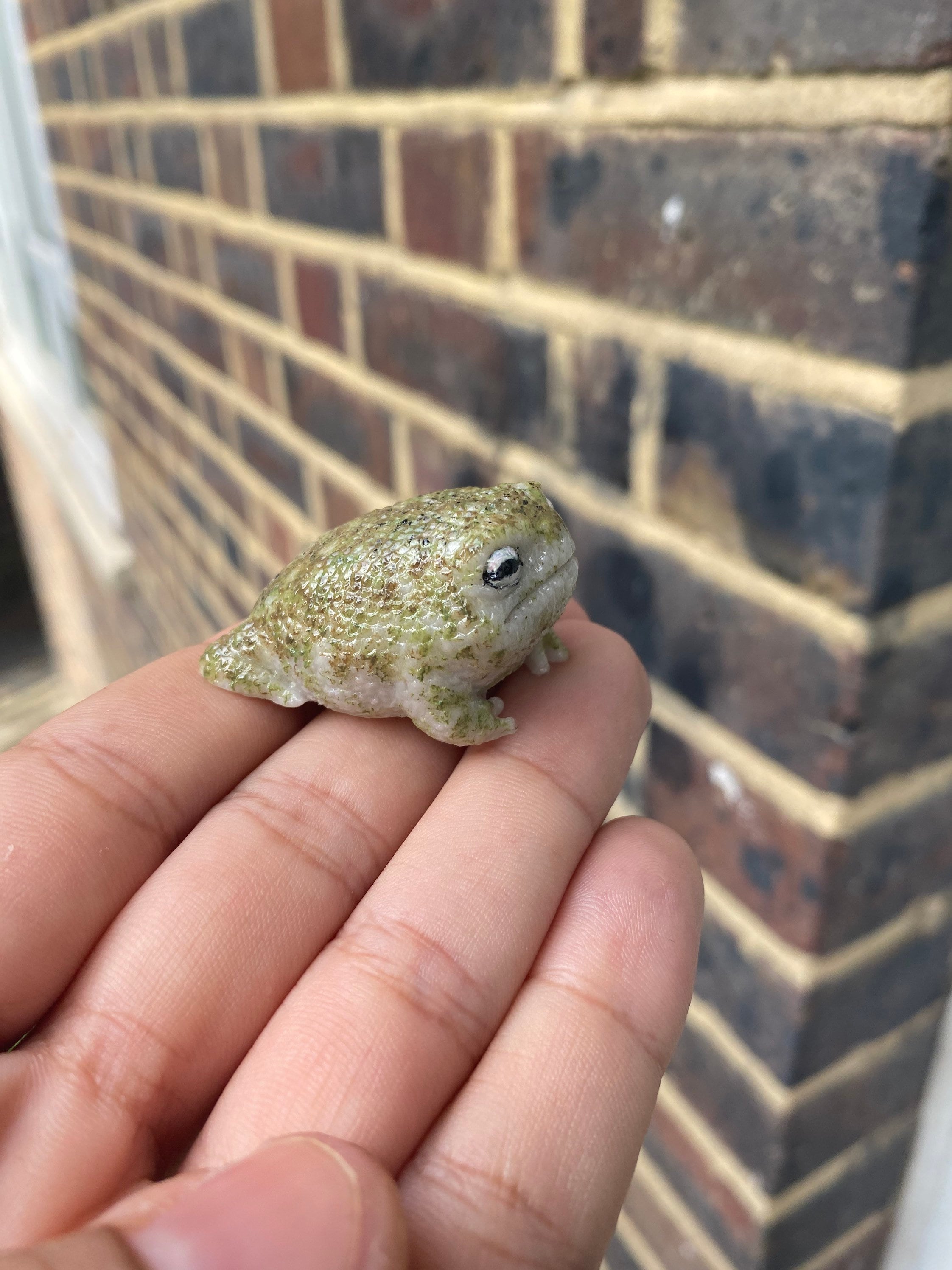 Baby Desert Rain Frog Figurine... Angry Squeaker Frog - Etsy Singapore