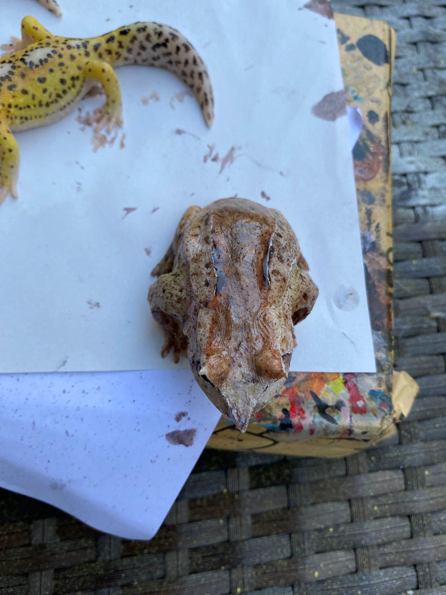 Long-nose Horned Frog - Leaf Frog Figurine 7cm Length ... - Etsy UK