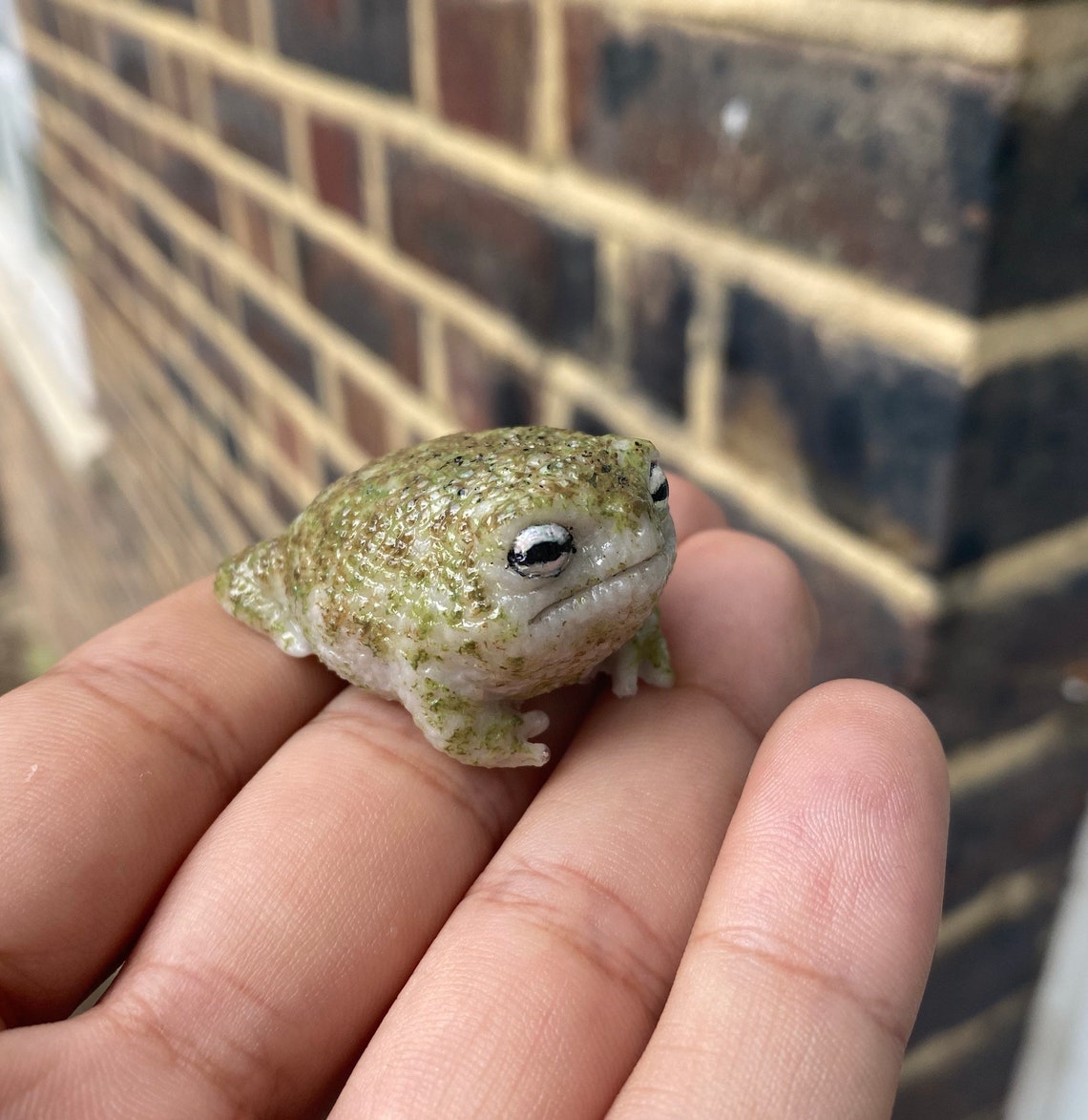 Baby Desert Rain Frog Figurine... Angry Squeaker Frog - Etsy