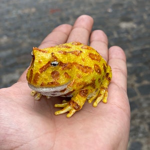 Realistic Argentine Horned Frog Figurine - Etsy UK