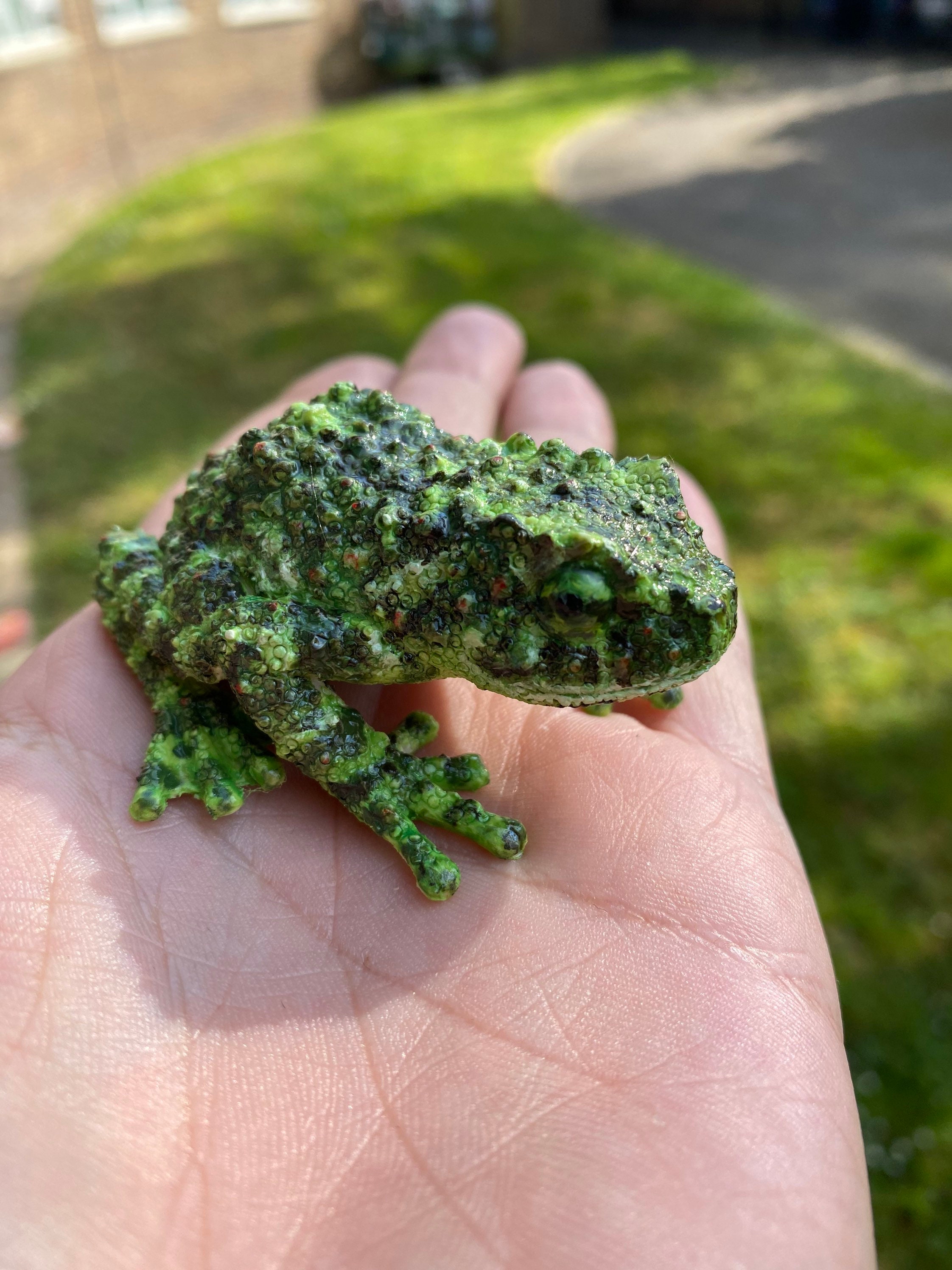 Vietnamese Mossy Frog Figurine... - Etsy