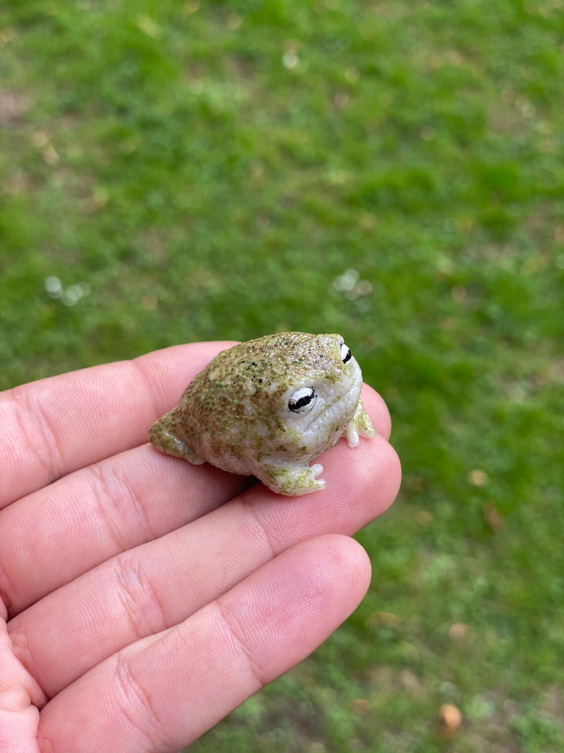 Baby Wüsten Regen Frosch Figur...Wütender Quietscher Frosch - Etsy.de