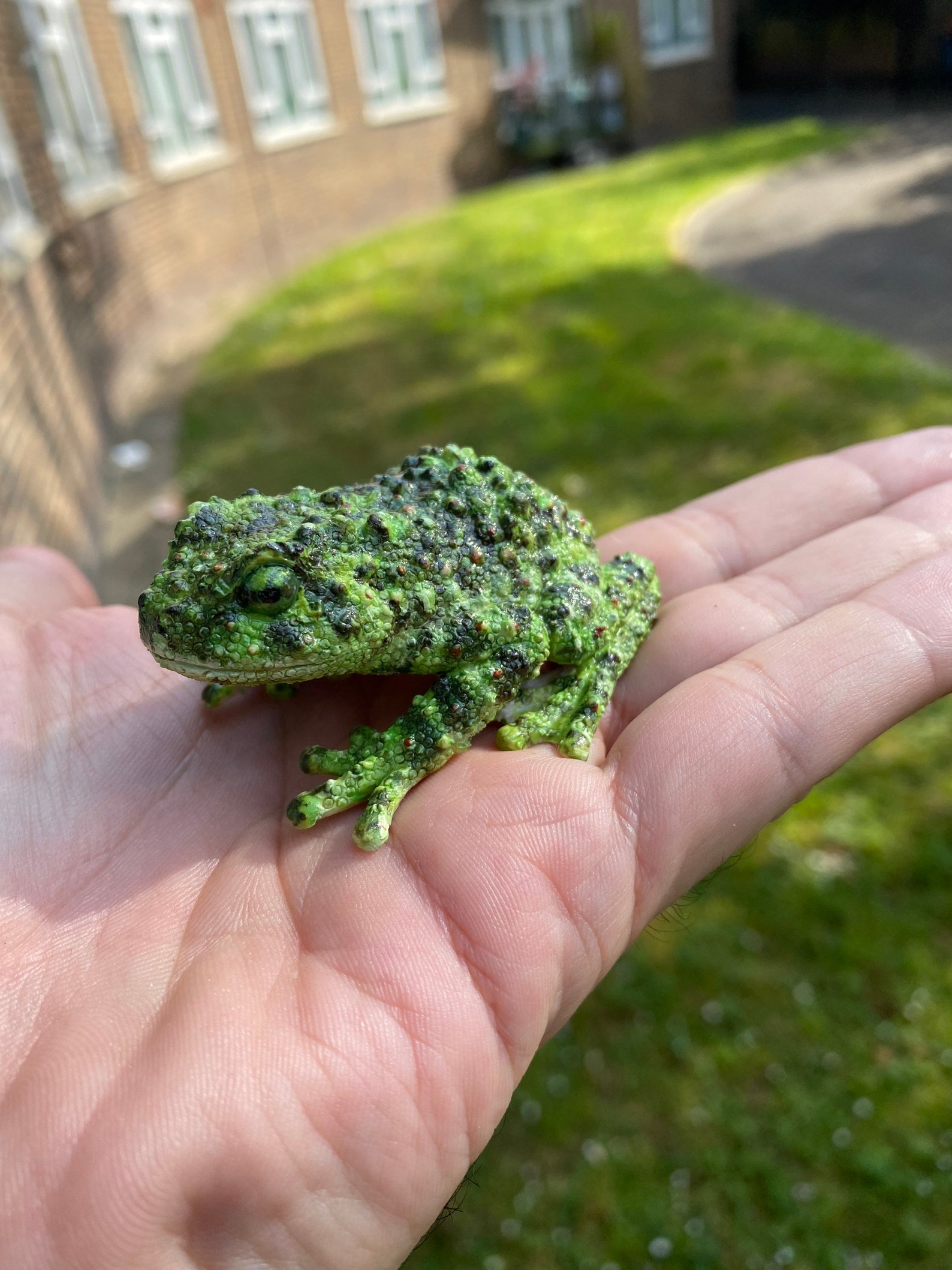 Vietnamese Mossy Frog Figurine... | Etsy