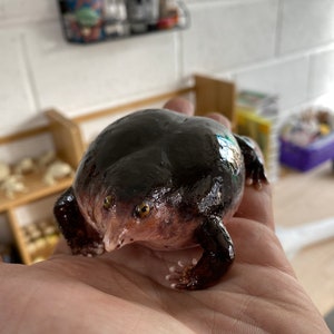 Purple Frog / Pignose Frog Figurine... - Etsy