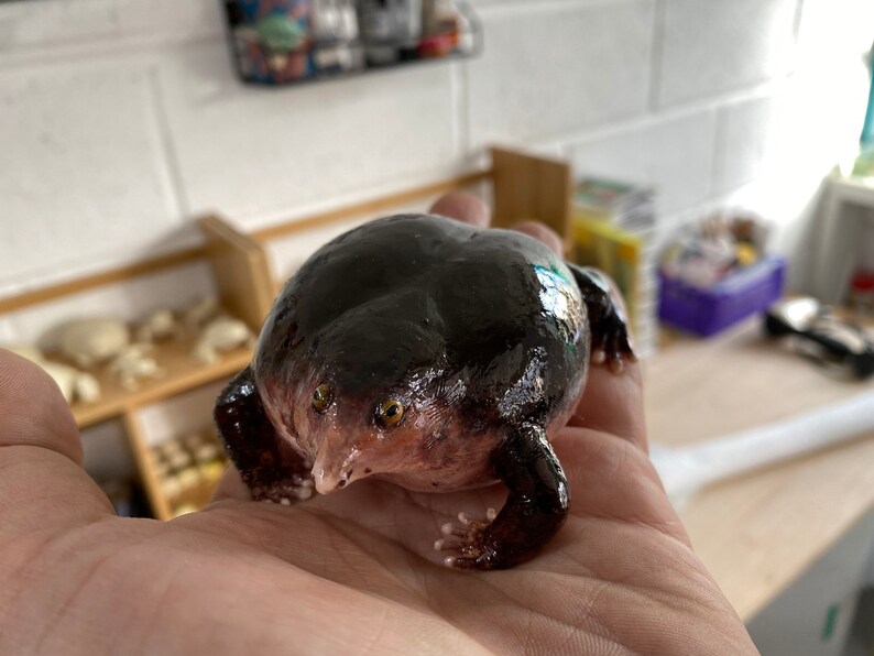 Purple Frog / Pignose Frog Figurine... - Etsy