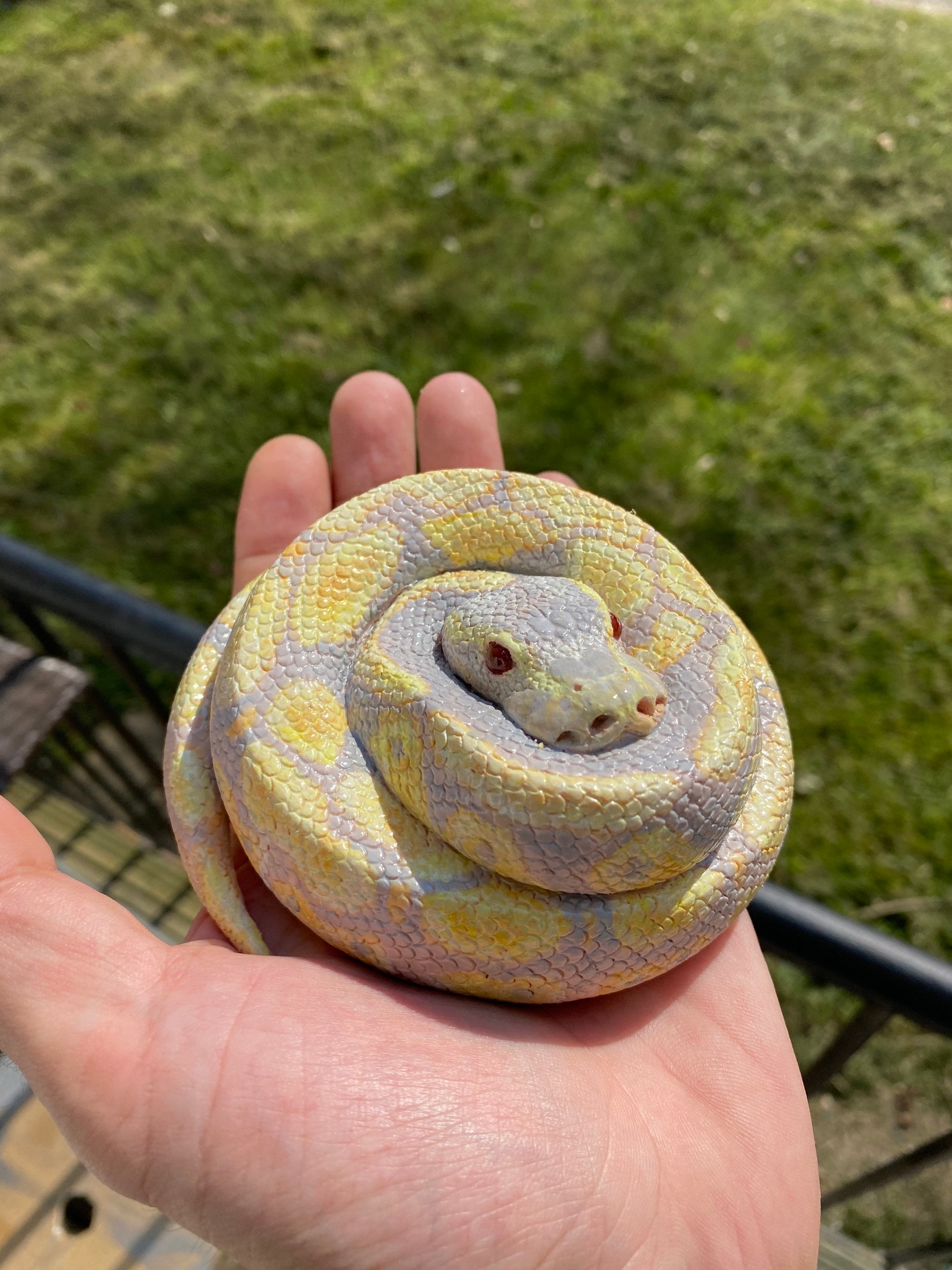 Albino Ball Python 10 Cm Diameter - Etsy