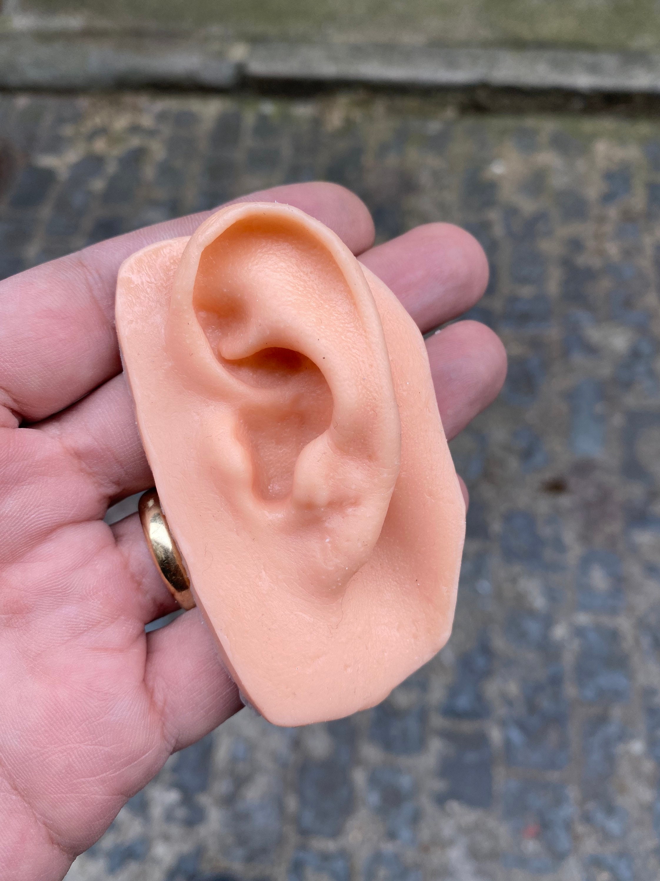 Realistic Silicone Woman Ear , Lifesize - Etsy