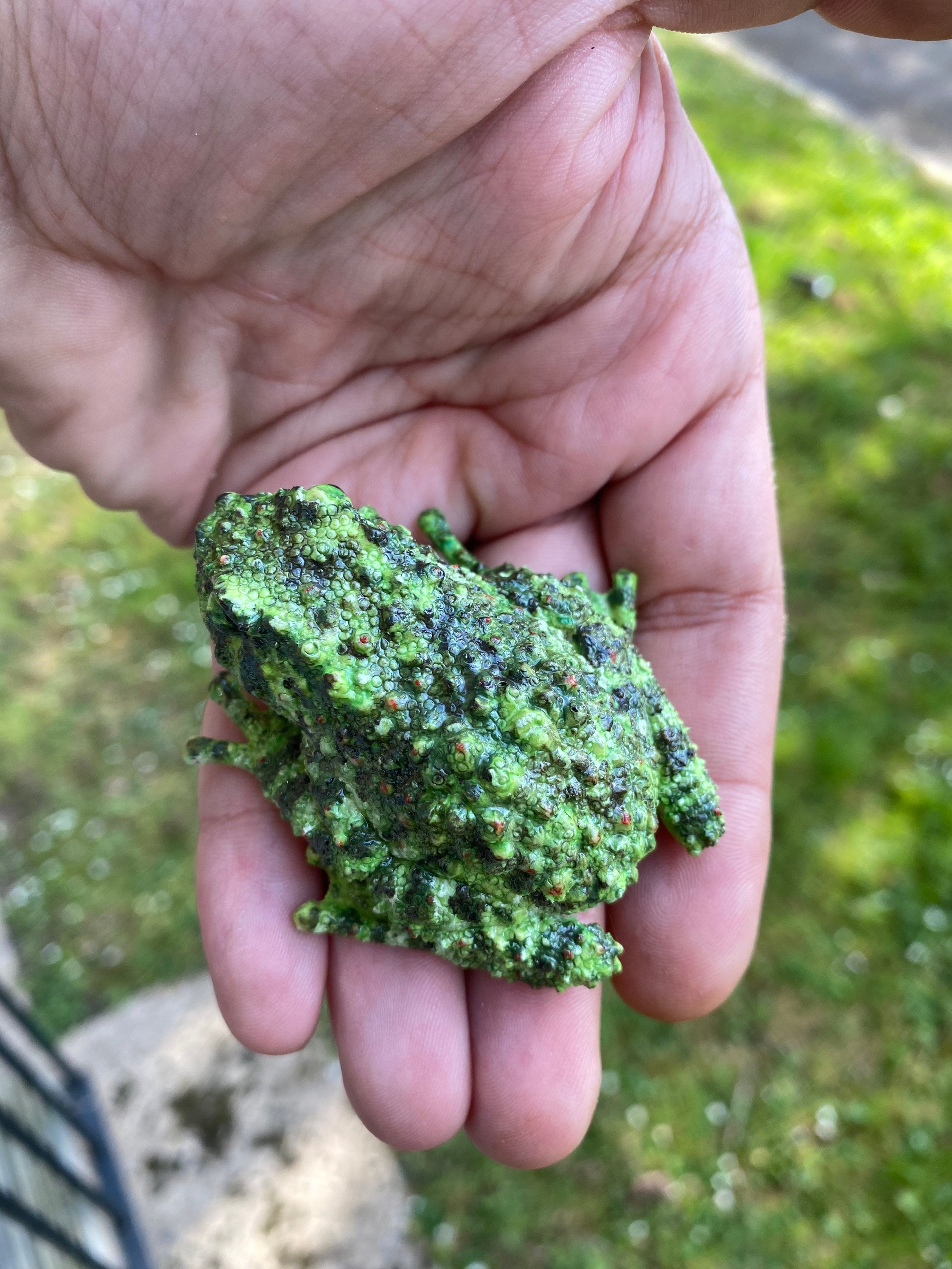 Vietnamese Mossy Frog Figurine... | Etsy