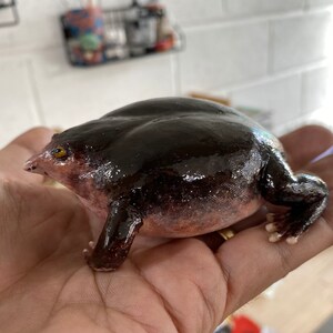 Purple Frog / Pignose Frog Figurine... - Etsy