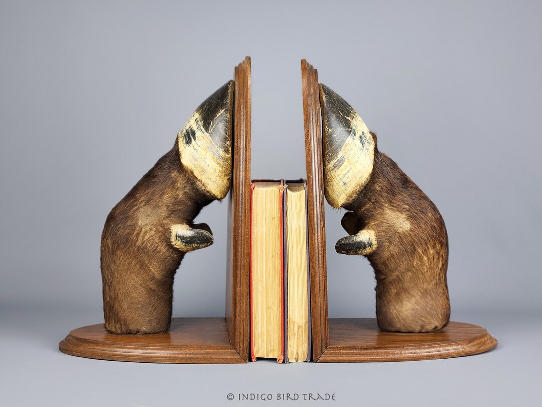 Vintage Water Buffalo Taxidermy Leg Bookends | Real Water Buffalo ...