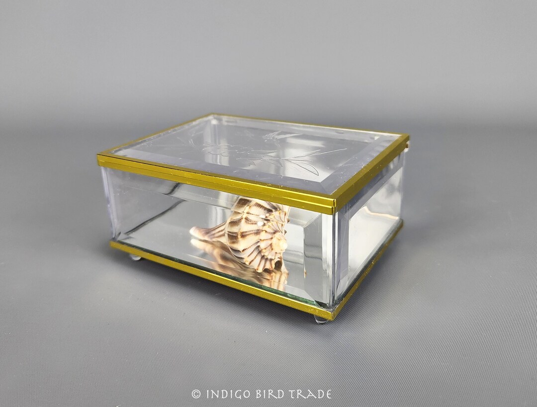 Vintage Acrylic Glass Footed Display Box | Mid Century Lucite Curio ...