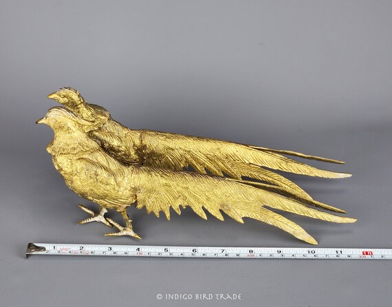 Gouden Fazant Liefde Is..met Een Slechtvalk Een Fazant Vangen