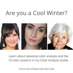 Cool Winter Digital Color Palette & Guide by Style Solutions for You - Etsy
